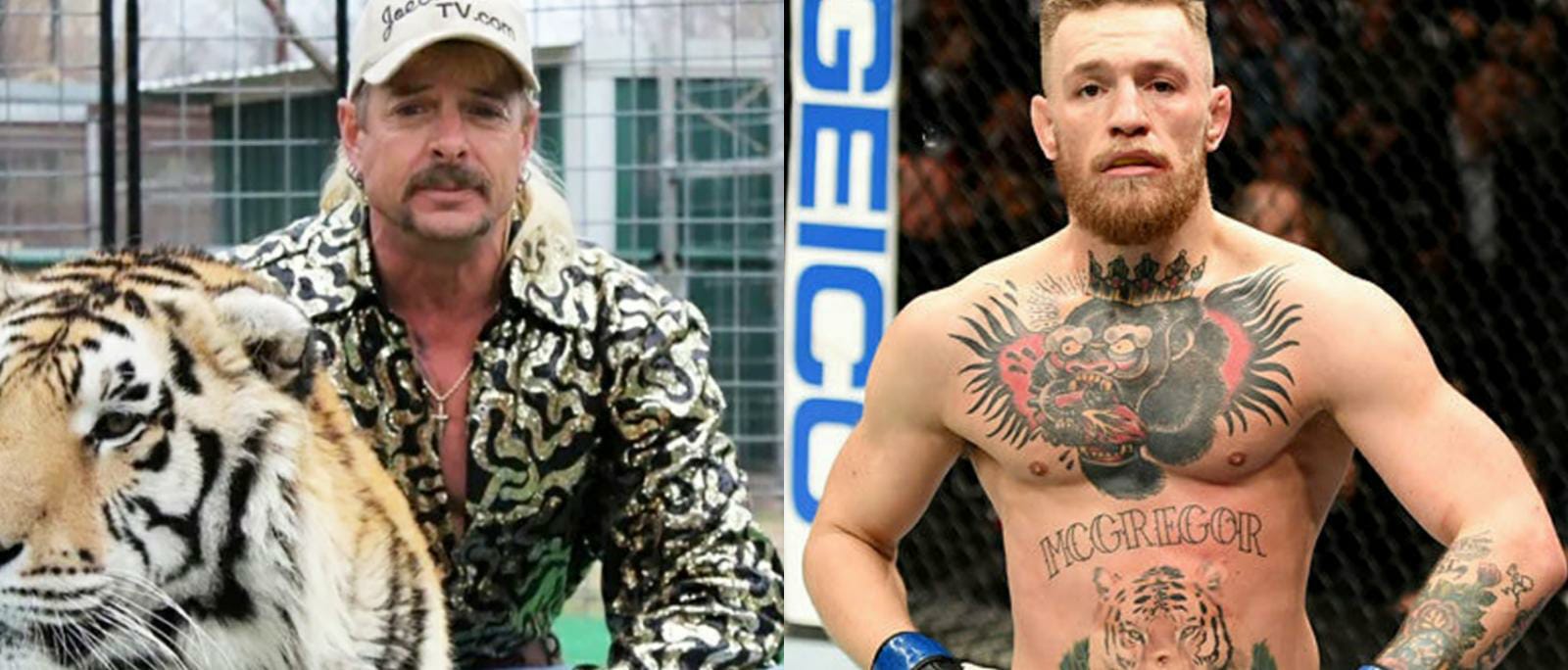 Tiger King: MMA Edition – SevereMMA.com - UFC, Mixed Martial Arts (MMA ...