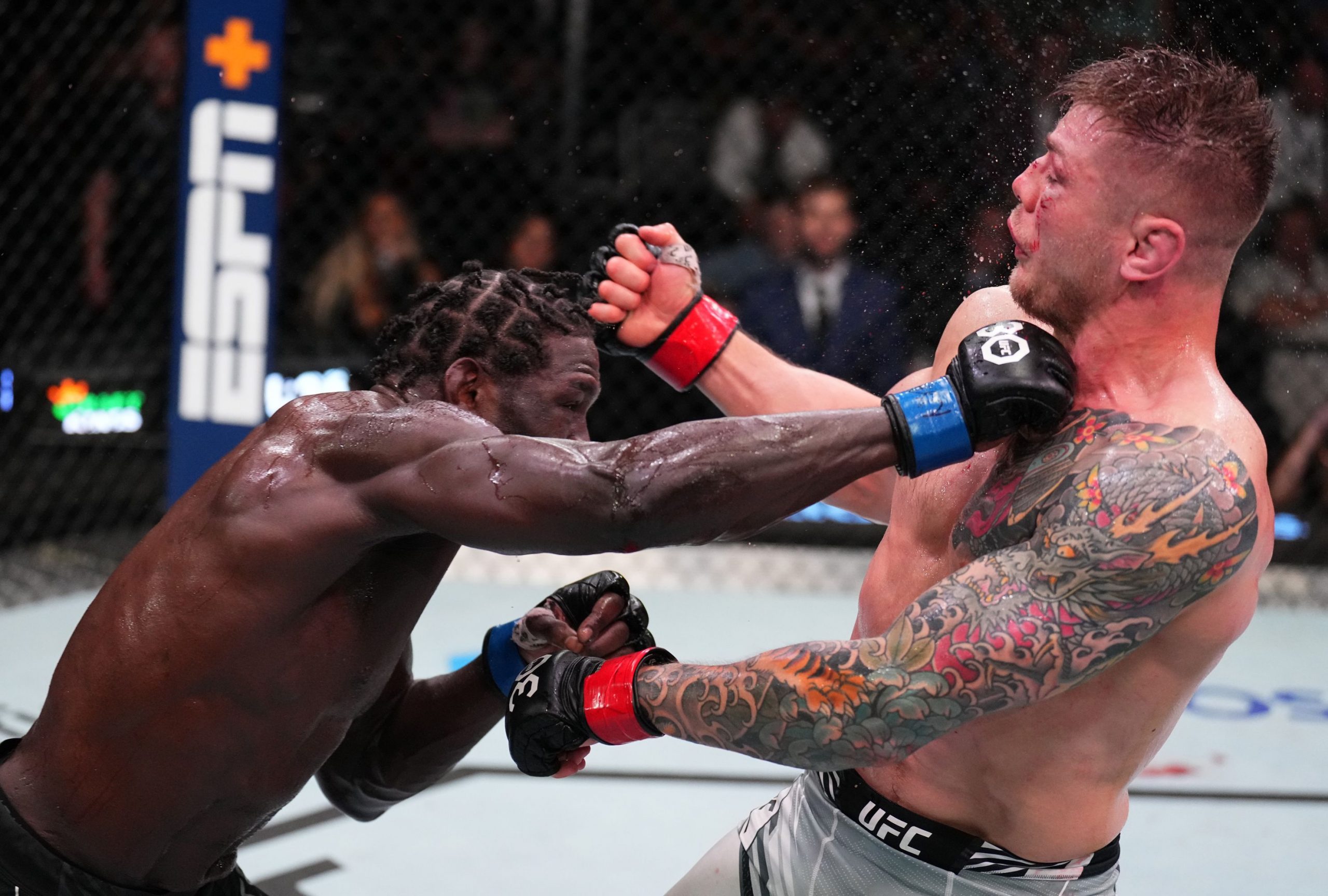 UFC Fight Night: Vettori vs Cannonier Recap – SevereMMA.com - UFC ...